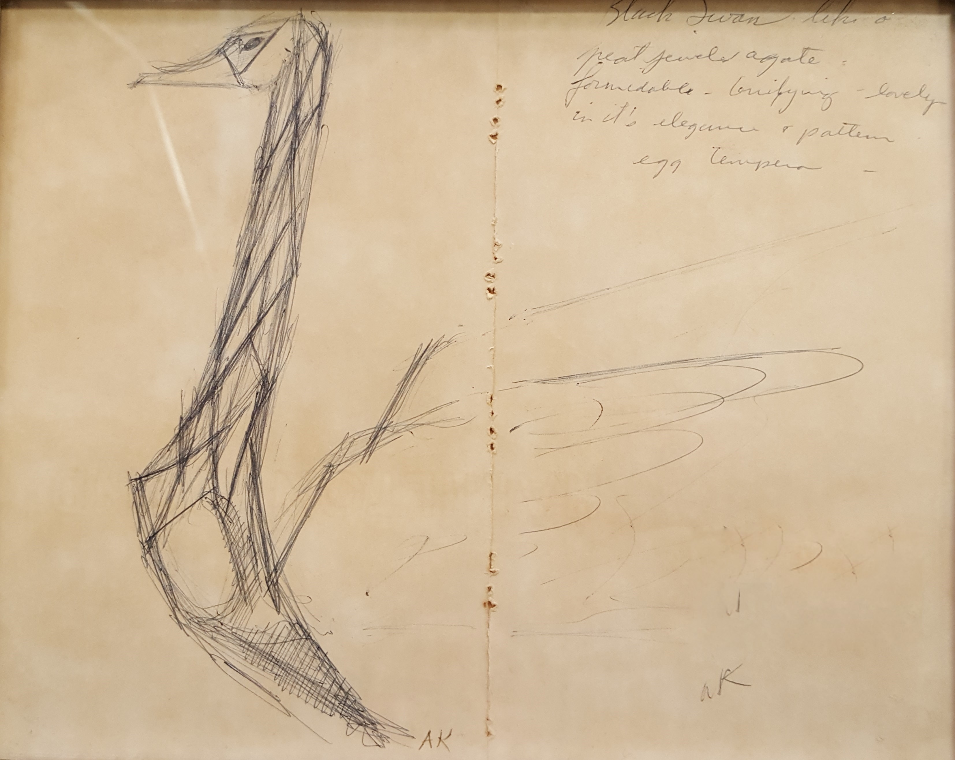 swan sketch – EXPLORING THE ART OF ARTHUR KRAFT